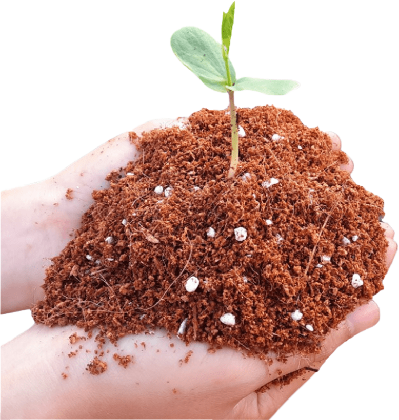 Coco Perlite Mix Applications Sunshine Organics